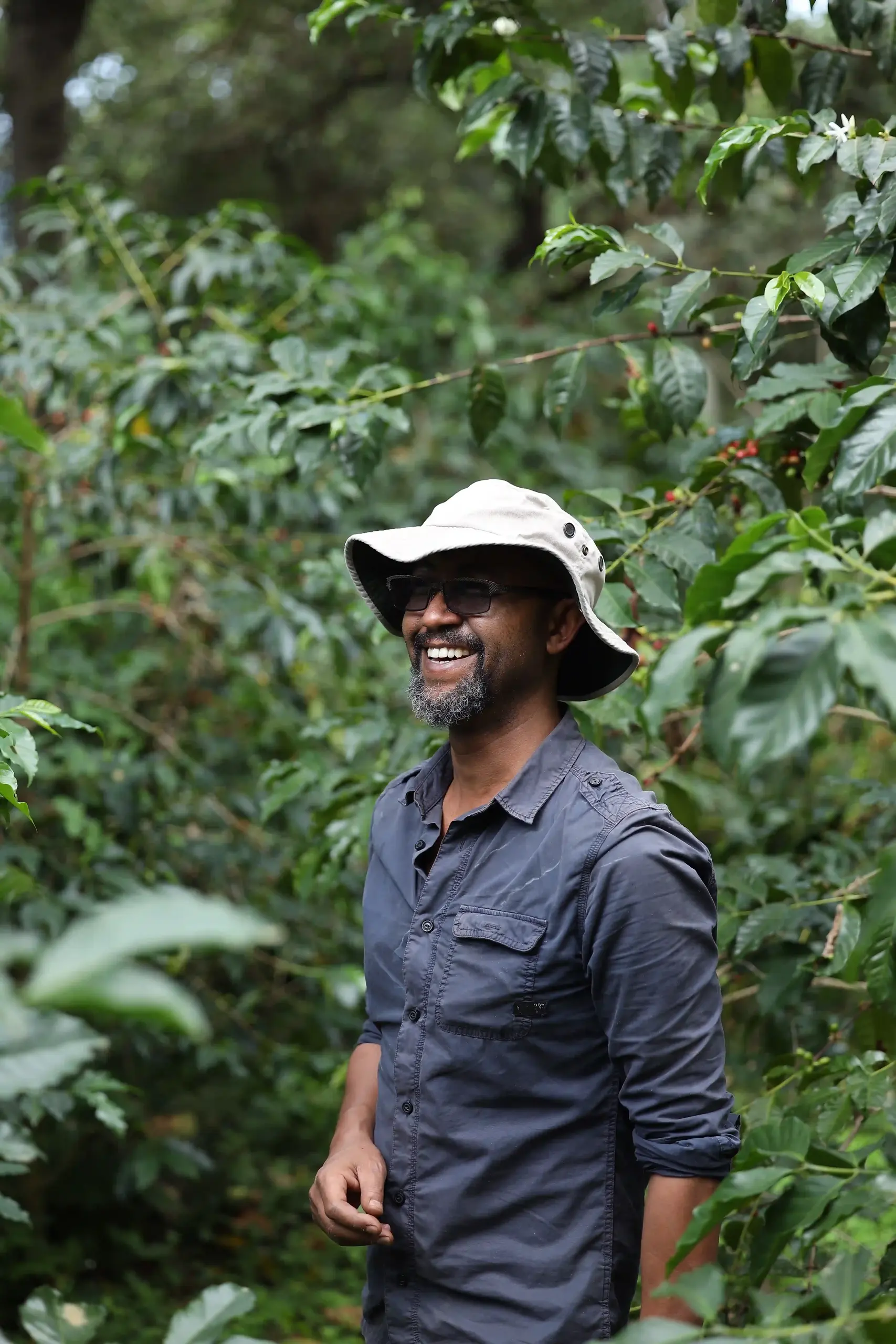 Gori Gesha Plantation